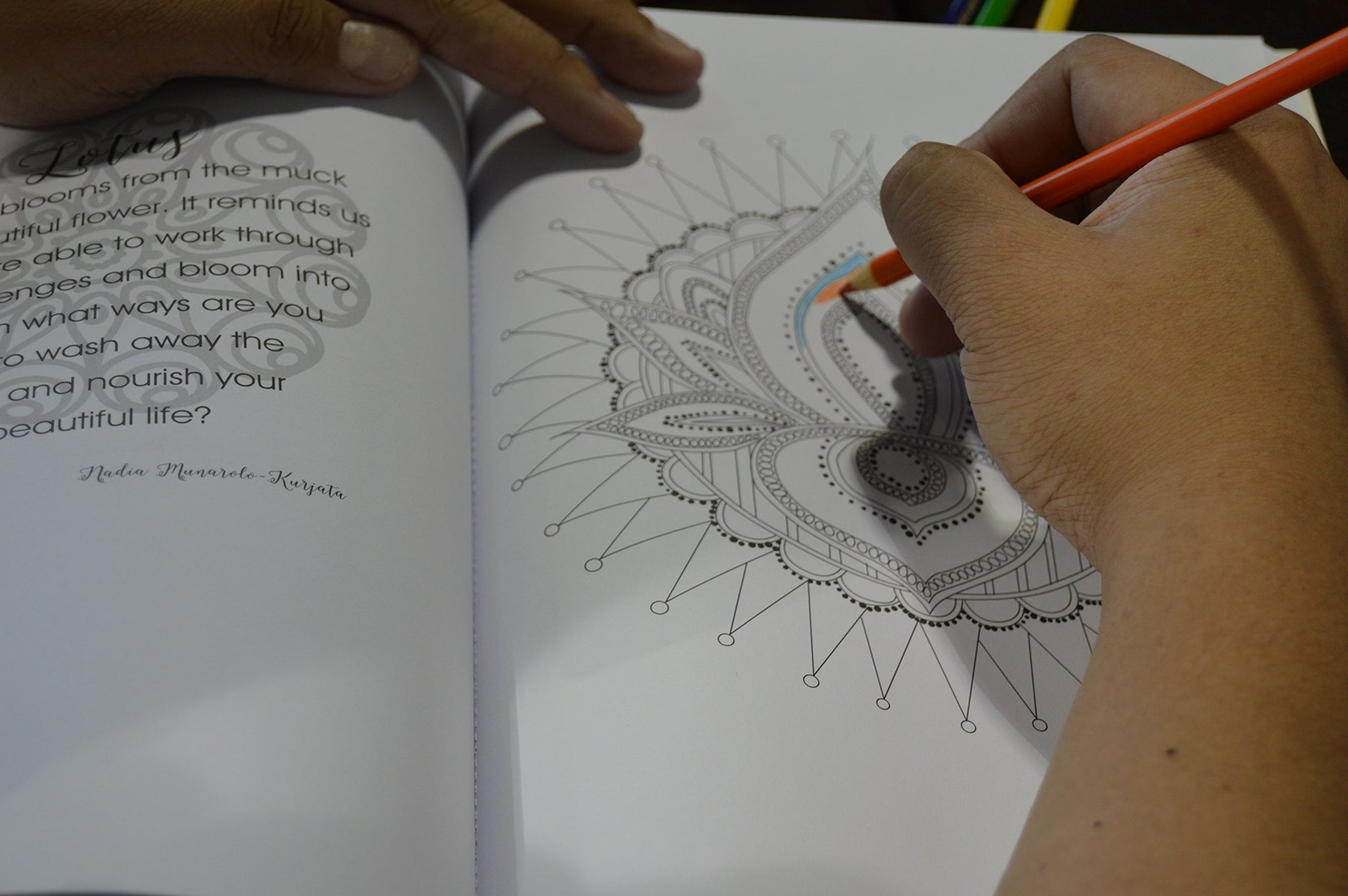 Super Soul Flow Coloring Book (Bulk 20) – Whitney Freya